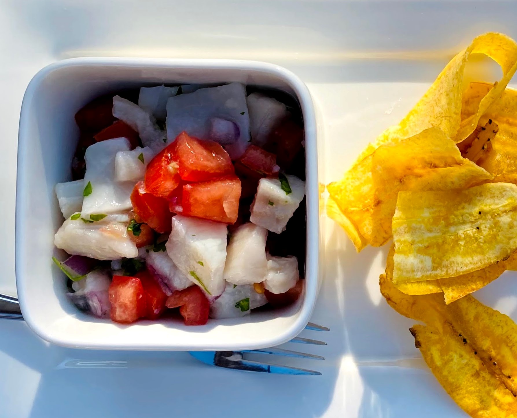 CEVICHE DE PESCADO - UNA PIZCA DE LUNA